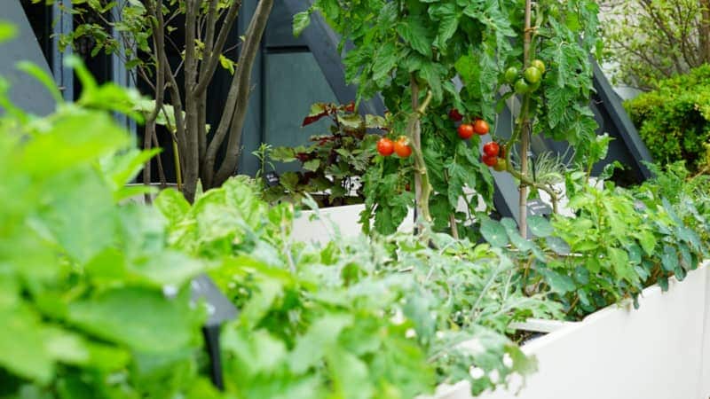 Protecting and enhancing nature - PwC UK